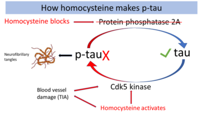 The P-Tau (and Amyloid) Delusion - Patrick Holford