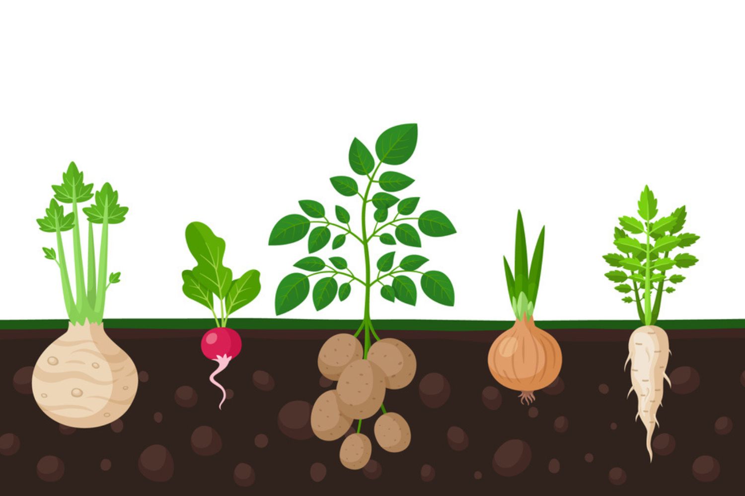 The Soil Gut Brain Superhighway - Patrick Holford