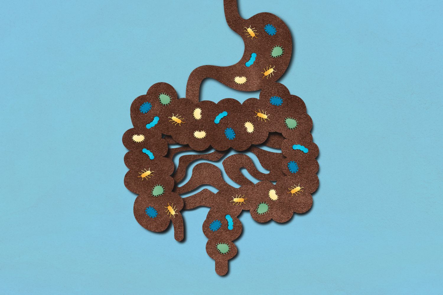 Vitamin supplements improve gut microbiome and health - Patrick Holford