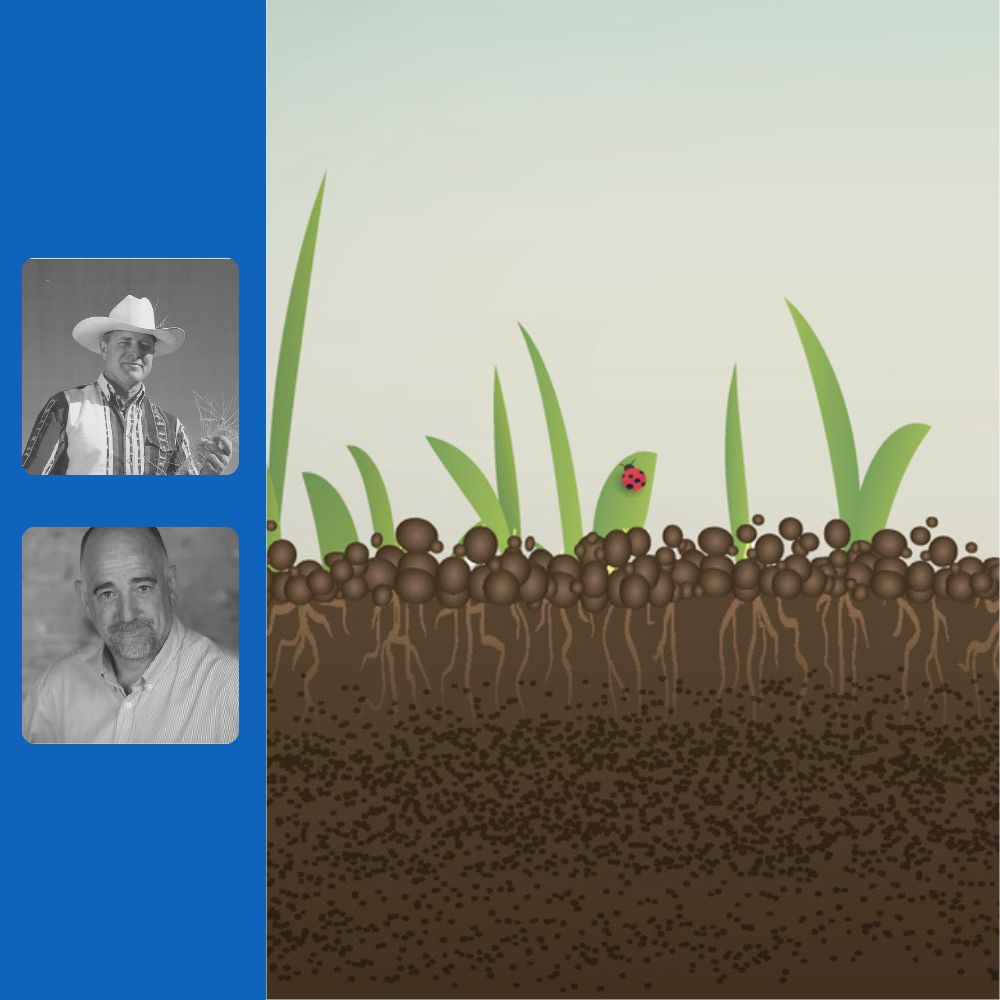 The Soil-Food-Gut-Brain Superhighway - Patrick Holford