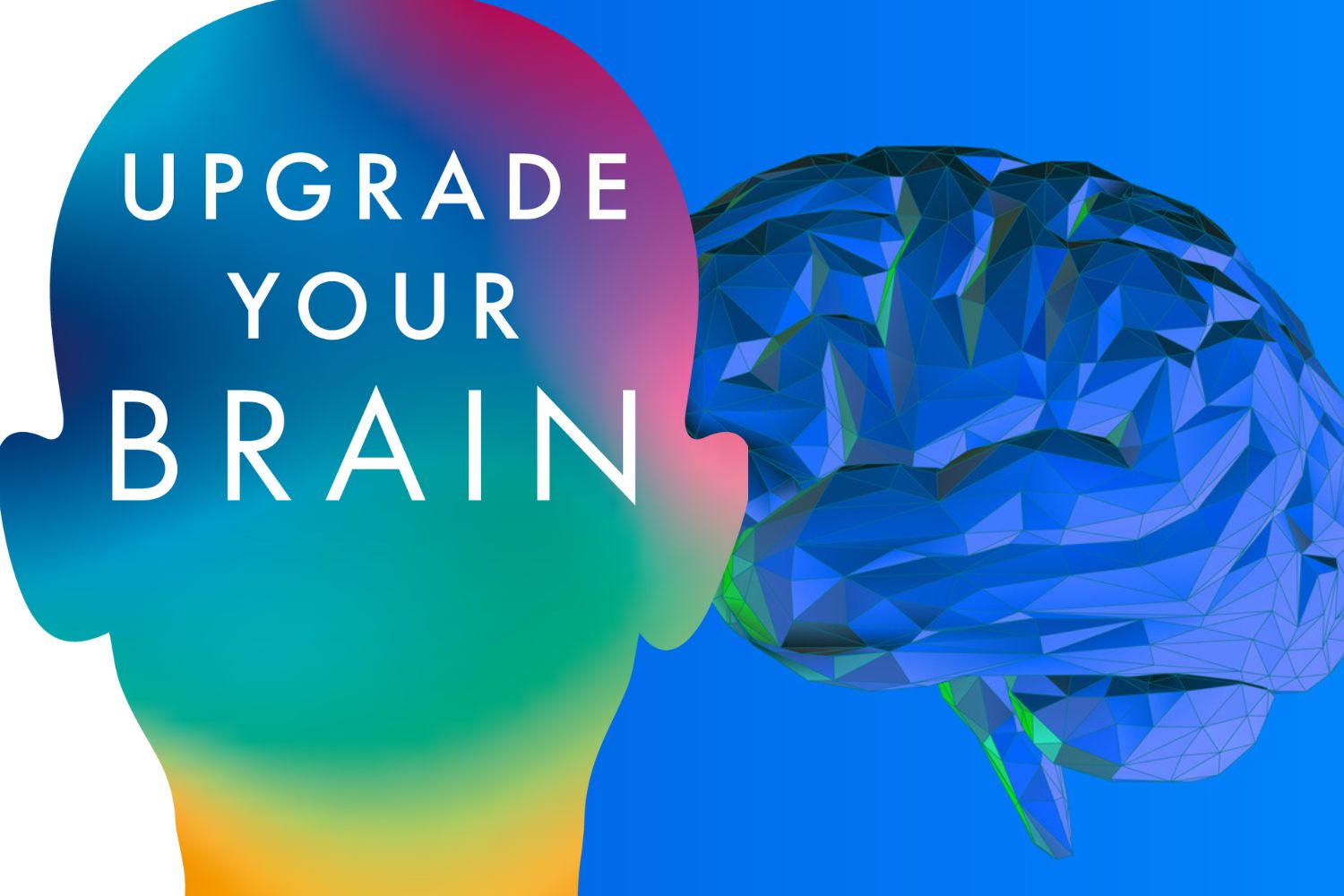 Two Co-dependent Nutrients that Stop Your Brain Shrinking - Patrick Holford