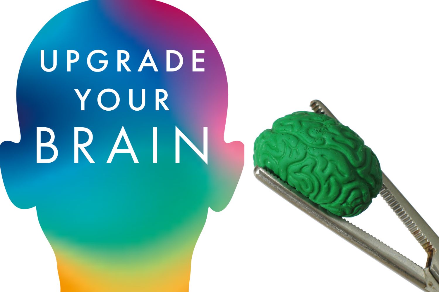 How to Test Your Brain Health - Patrick Holford